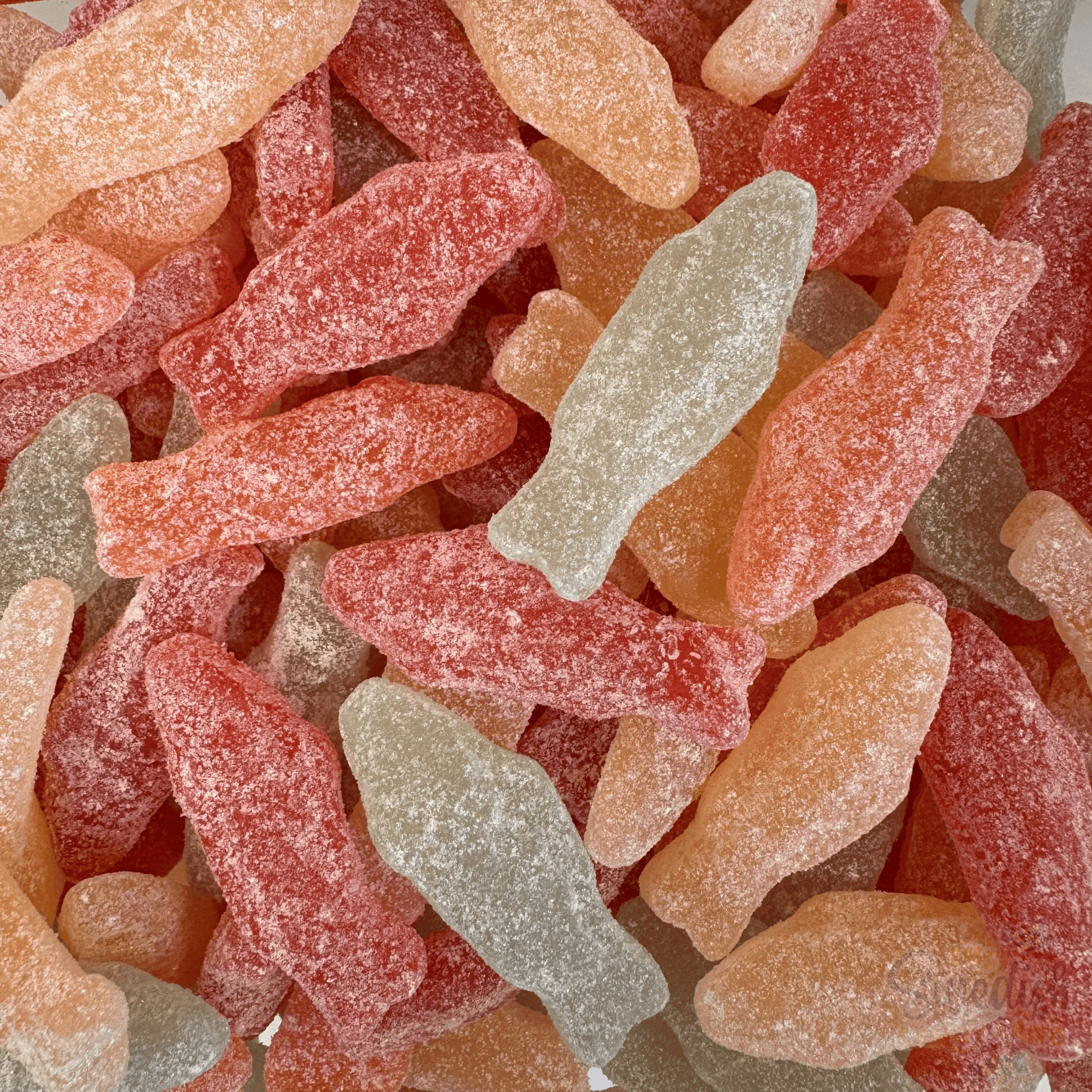 Malaco Sour Pastel Fish – Swedish Candy Land